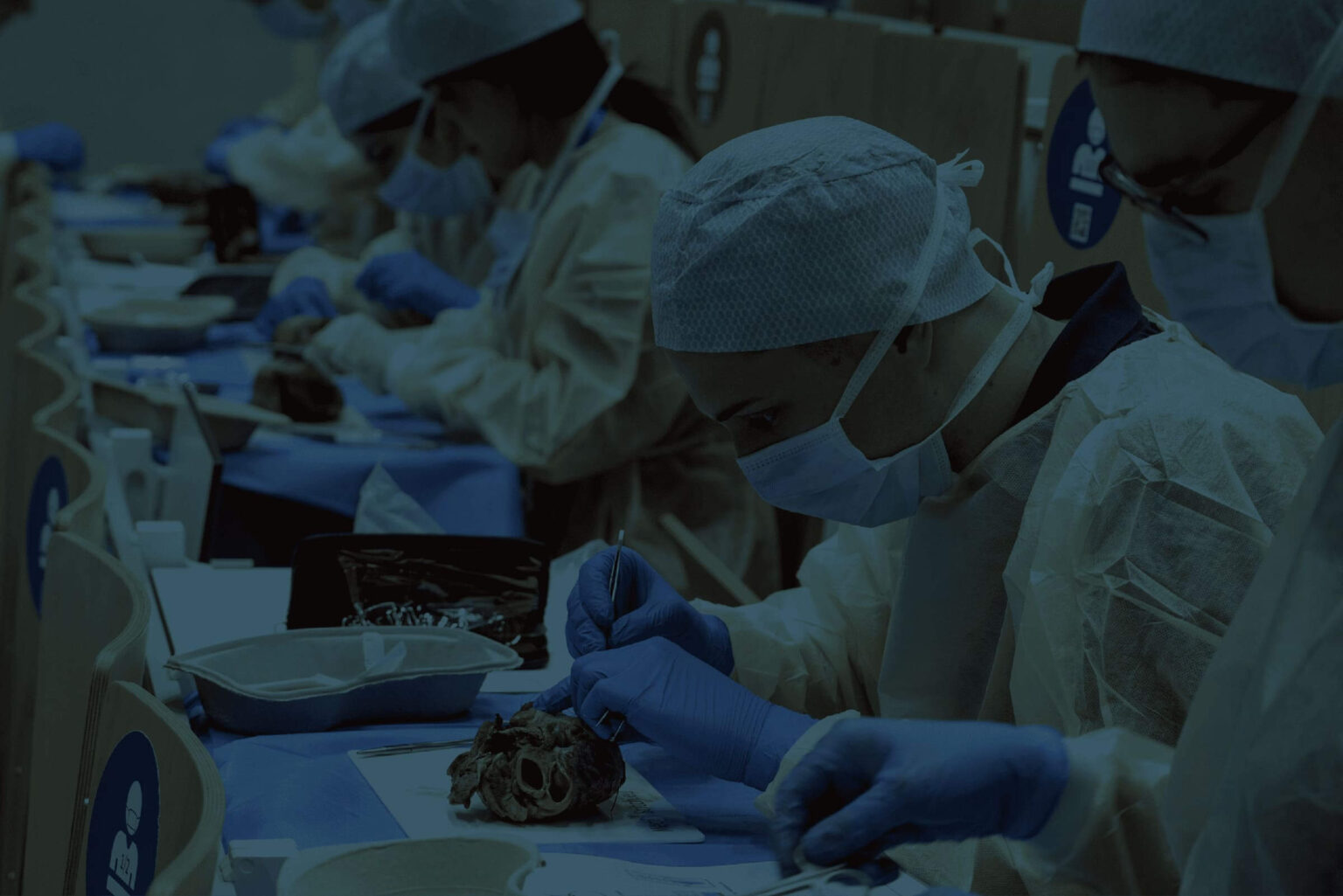MedCup – World Cup of Medicine
